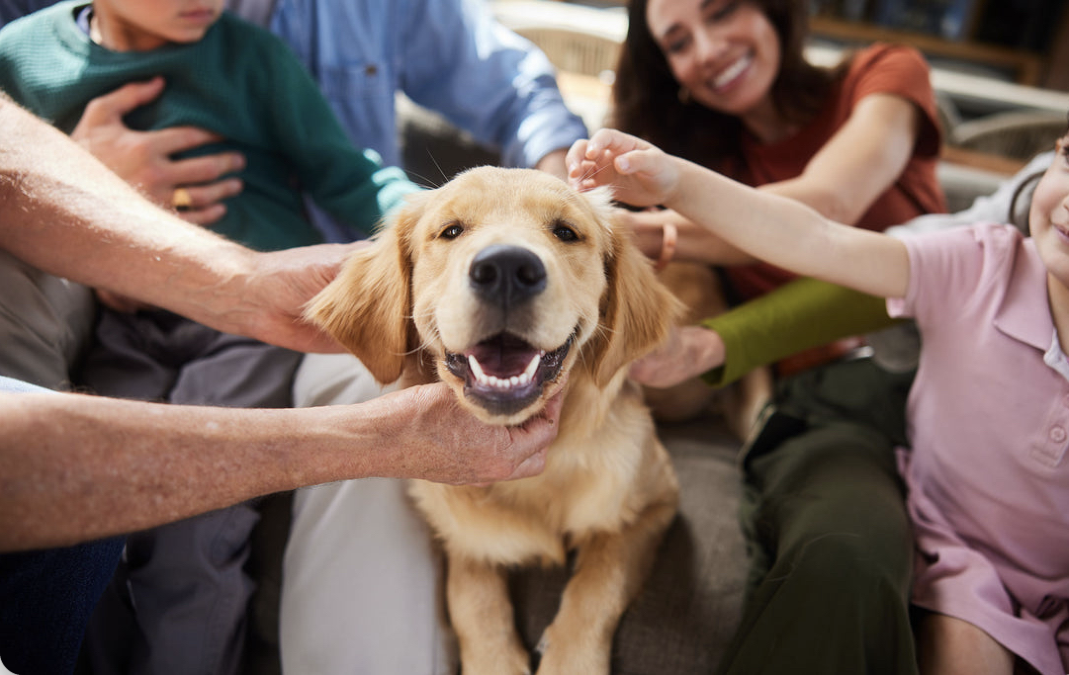 Communication animale : comprendre son animal pour renforcer votre lien ...